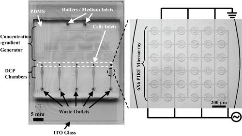 Microfluidics Laboratroy